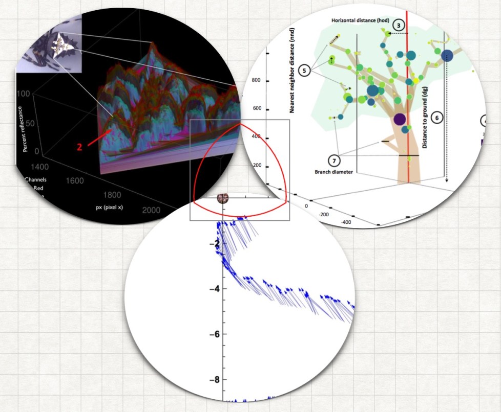 Rao Spider Lab – INBIOTECA, UNIVERSIDAD VERACRUZANA, MEXICO